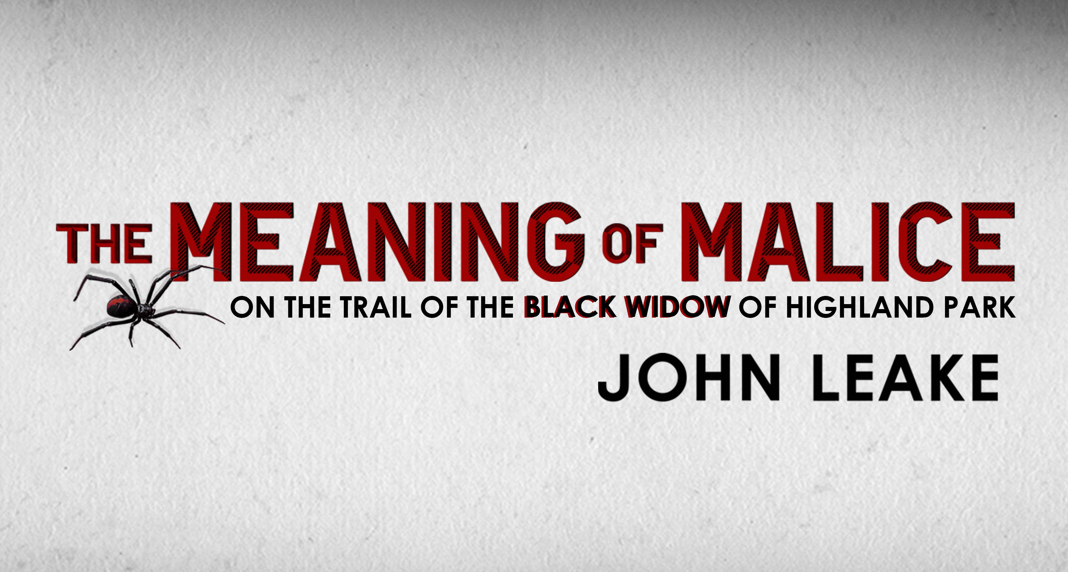 BOOK SUMMARY Meaning Of Malice BOOK SUMMARY Meaning Of Malice
